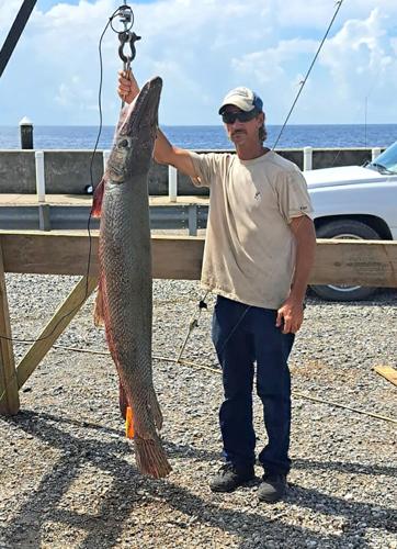 Cory Holcombe hooks 135-pound gar, wins 46th Annual Madisonville Gar ...