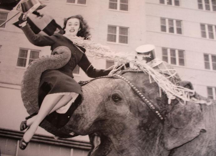 5 facts about Nick Lama's Avo, Italian restaurant now open on Magazine ...