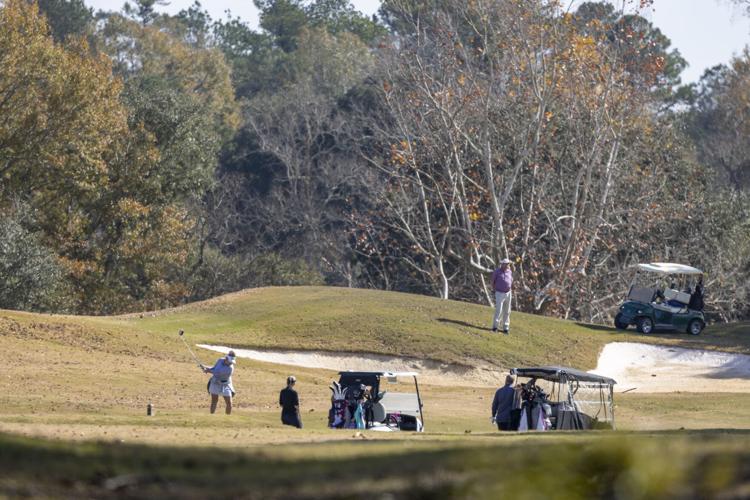 Money Hill eyes growth on thousands of northshore acres | One Tammany ...