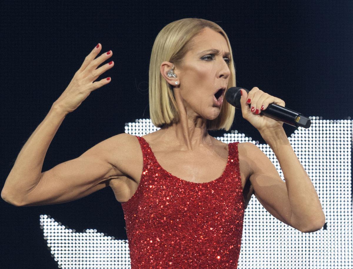 Review: Celine Dion was brilliant and incredibly kind in her New ...