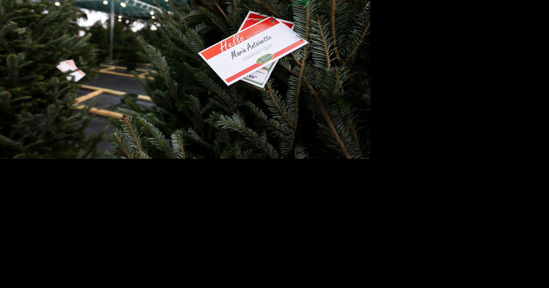 How about having a Hulk or Minnie Mouse Christmas tree? | News | nola.com