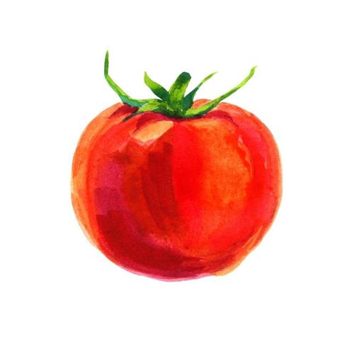 Creole Tomato Fest ripe for fun with more food, events | Where NOLA ...