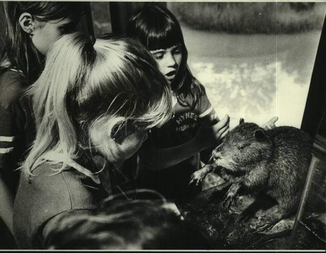 Nutria and the people who wear, hunt and eat them: 30 vintage photos ...