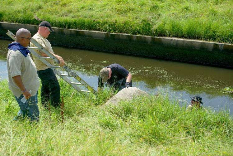 Arrested NOPD officer Wardell Johnson has history of downplaying ...