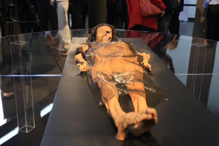 Meet the Lady of Cao, a 1,700-year-old Peruvian mummy with Tulane ties ...