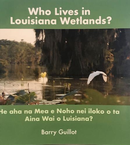Swamp critters help teach Hawaiian kids to count in native dialect with ...