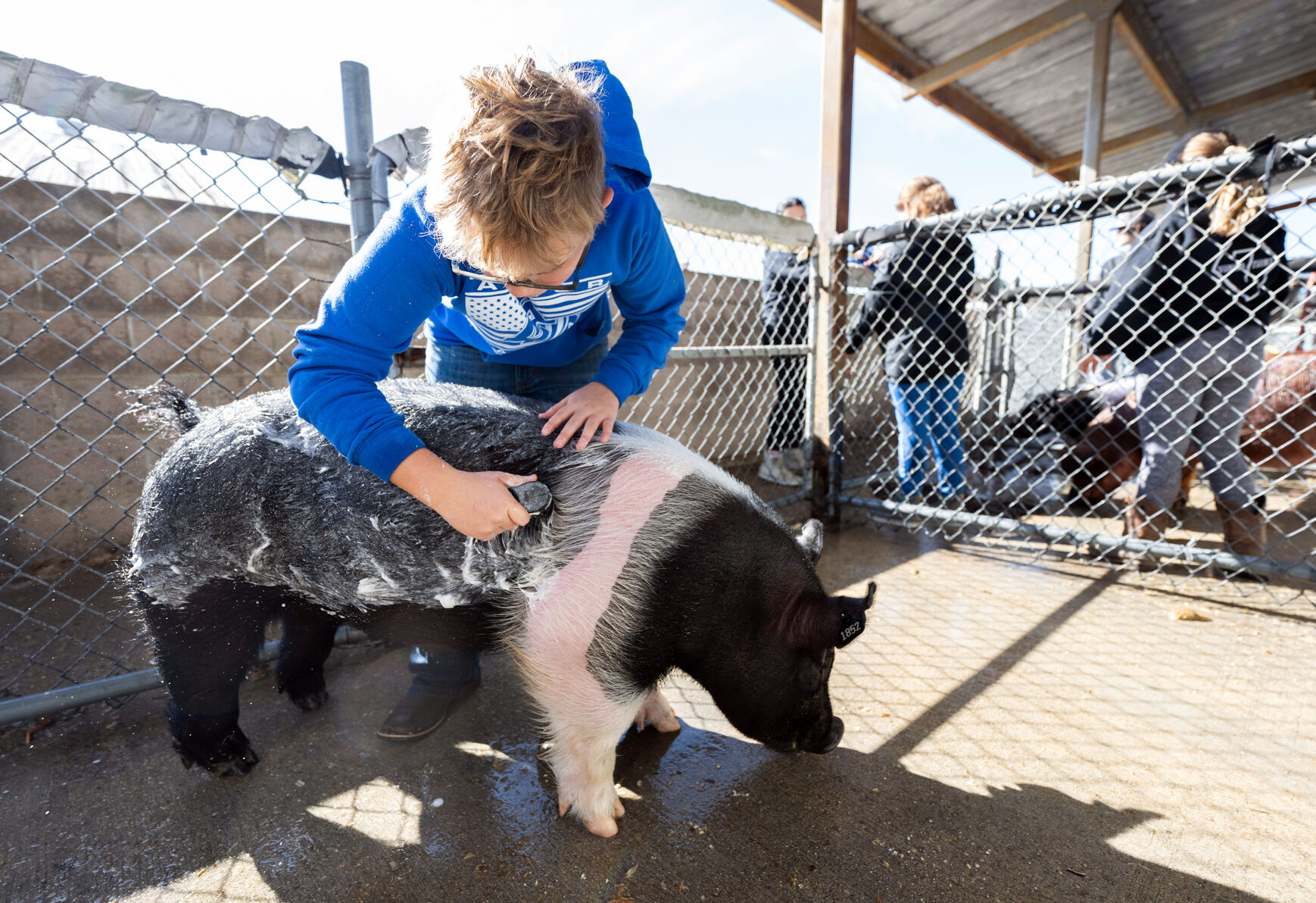 ACA.districtlivestock.adv.005.jpg | | nola.com