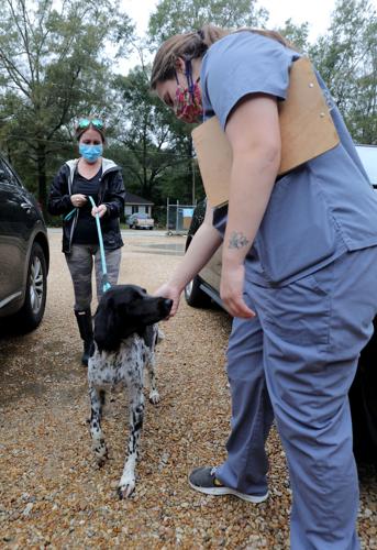 No-kill shelter continues discounted vaccinations in Covington | St ...