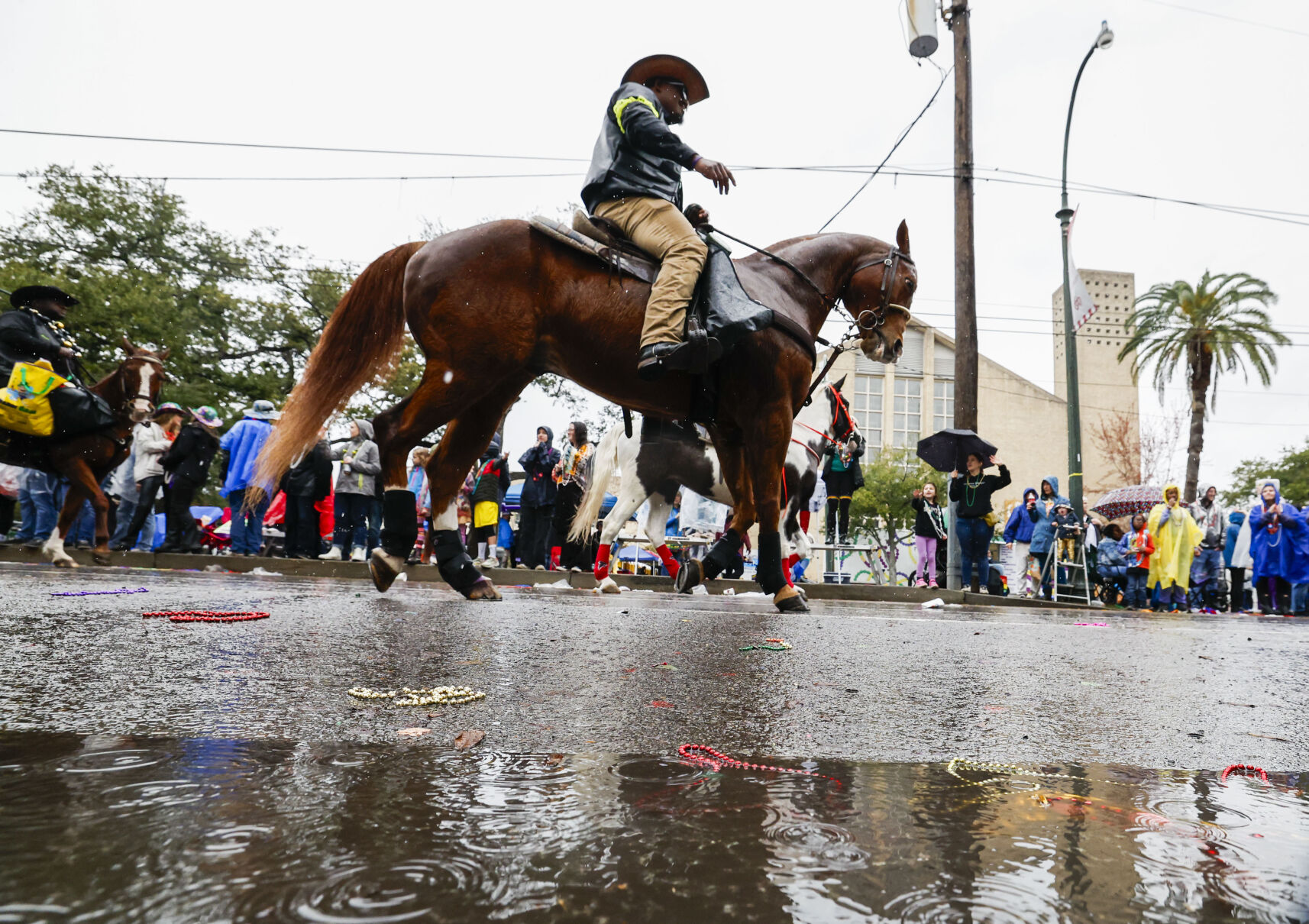 Krewe of Choctaw rolls to theme Choctaw Visits Versailles | Photos ...