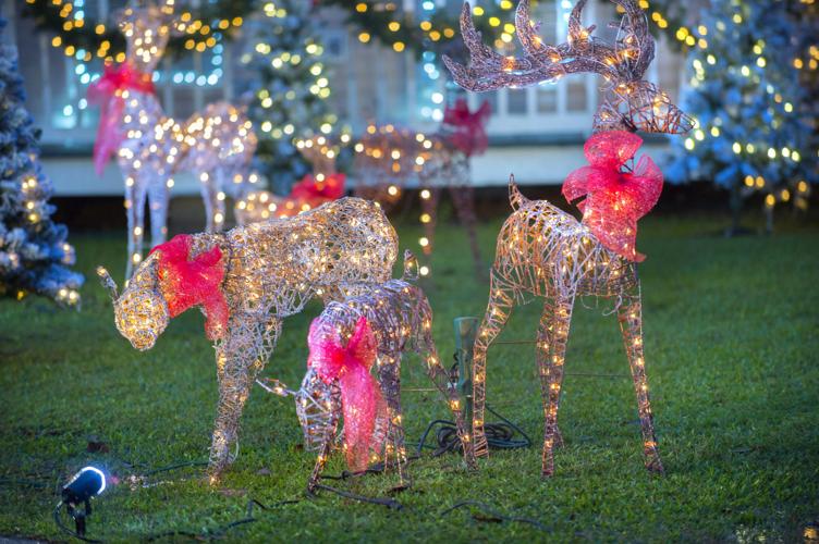 This Amite family's home is decked out for Christmas thanks to Hallmark ...