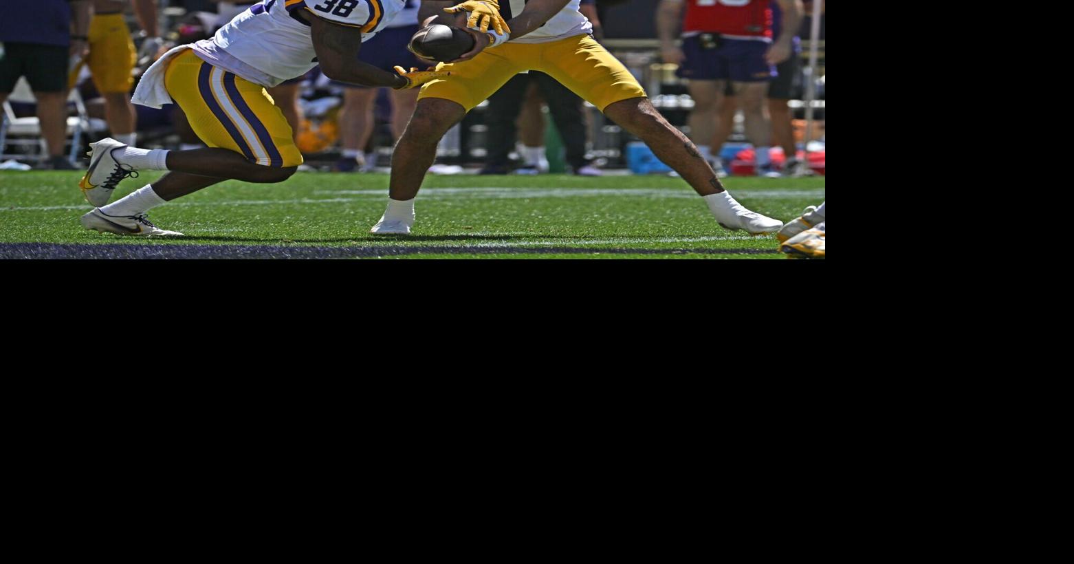 Photos: Offense and Defense Shine in LSU Spring Game | Photos | nola.com