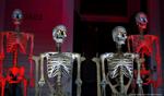 Haunted houses, scary parades and more NOLA Halloween events ...