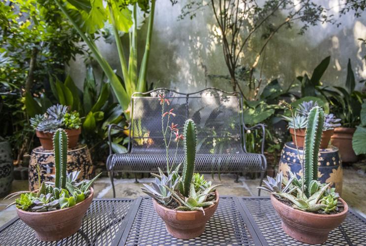 Hidden Esplanade garden of landscape architect Rene Fransen is lush in ...