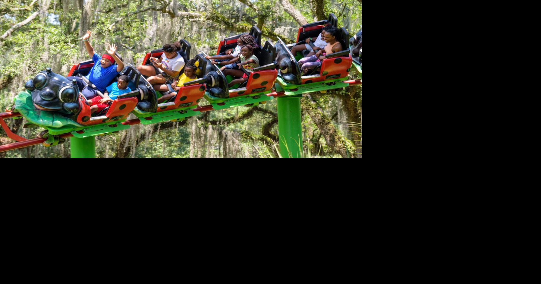 Summer camps in New Orleans: A complete guide to find the right summer ...