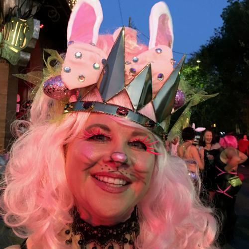 Bunarchy 2018: See great wildlife pictures from the pre-Easter bar ...