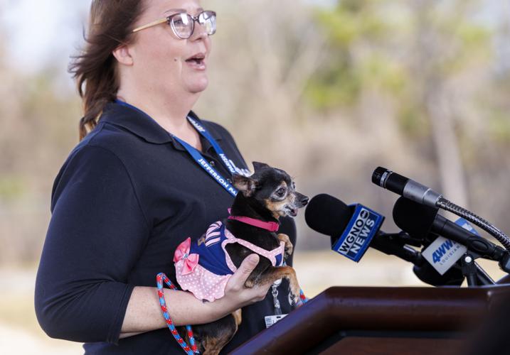 Jefferson Parish begins building east bank animal shelter | Jefferson ...