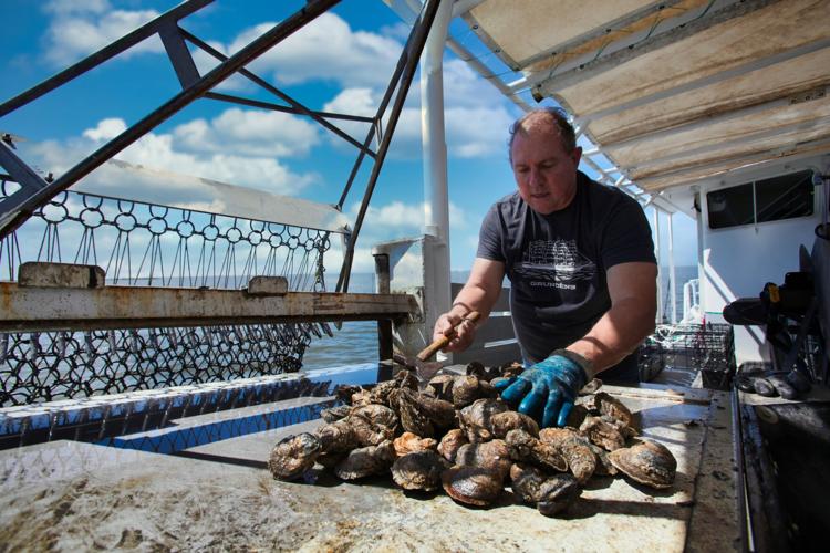 Fourth-generation oyster farmer to open restaurant in Gretna | Business ...