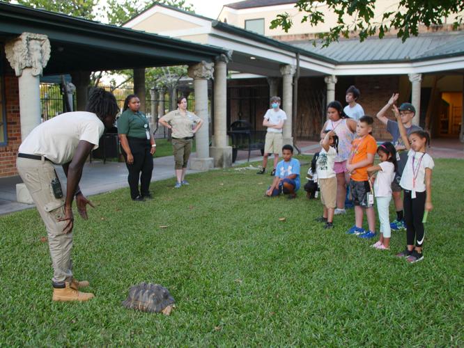 Nature at Night resumes to allow local youth to explore Audubon Zoo ...