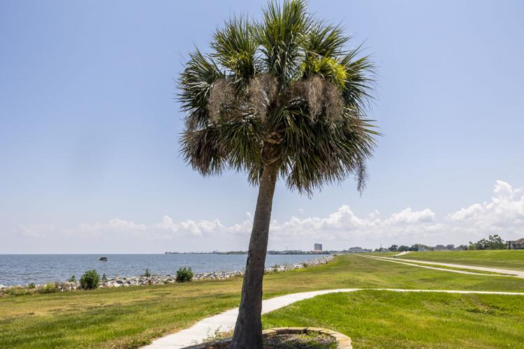 Bucktown living shoreline expected to break ground in July | Jefferson ...