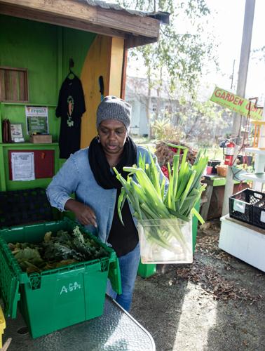 ACA.fightingville.011426.005.jpg | | nola.com