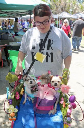 Spring Fling Pet Fest all about the fun, and raising awareness ...