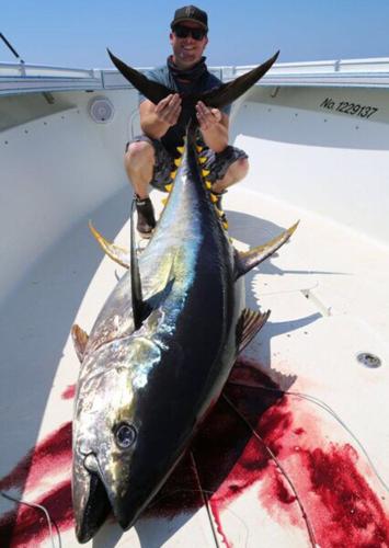 Big, bad yellowfin tuna close to Louisiana coast | Sports | nola.com