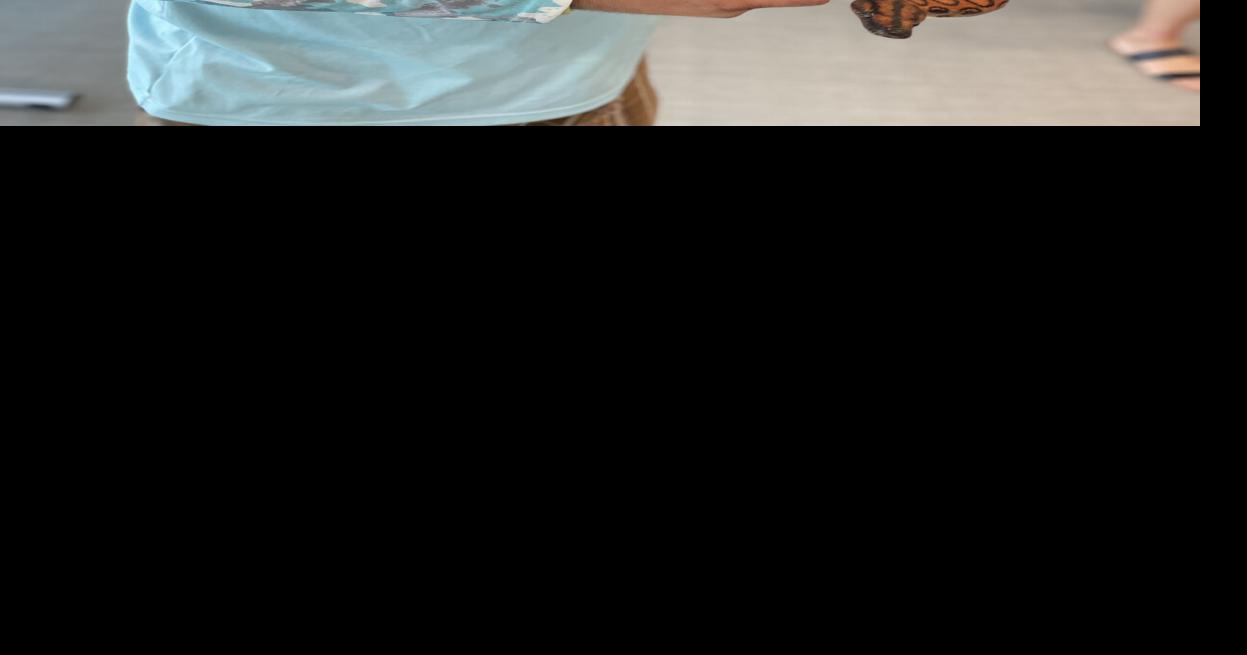 lt library snakes DS6.jpg | | nola.com