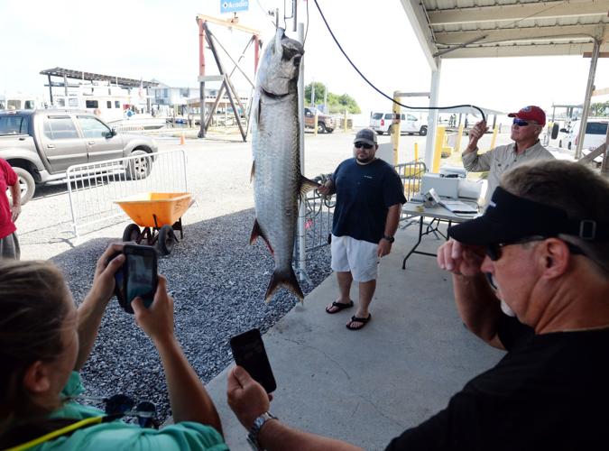 Houma man catches giant 167-pound tarpon in first hours of Grand Isle ...