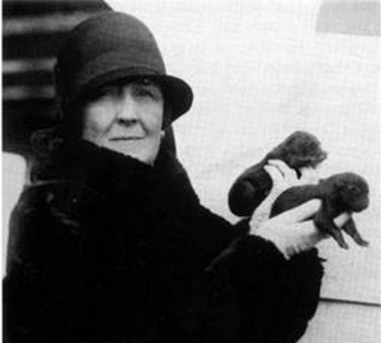 Warren Harding, whose letters to his mistress are about to go public ...