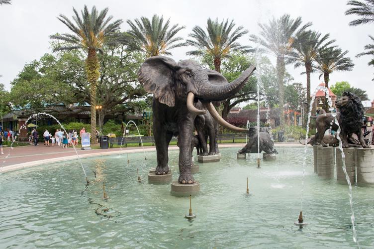 Photos: New wildlife statues make a splash at Audubon Zoo's watering ...