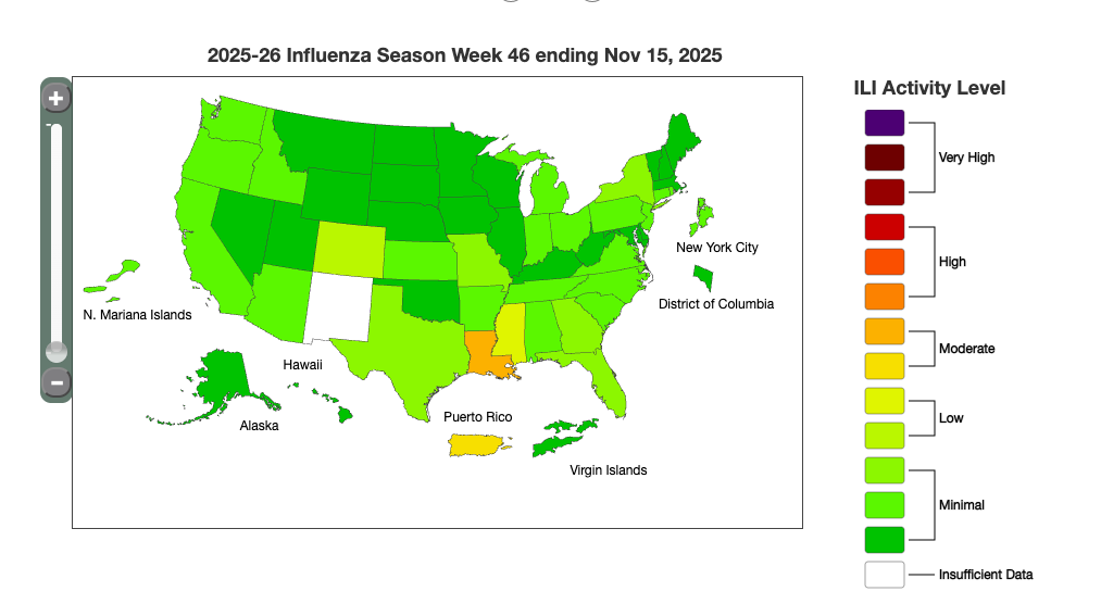 Flu Season Warning in Louisiana | Health care/Hospitals | nola.com