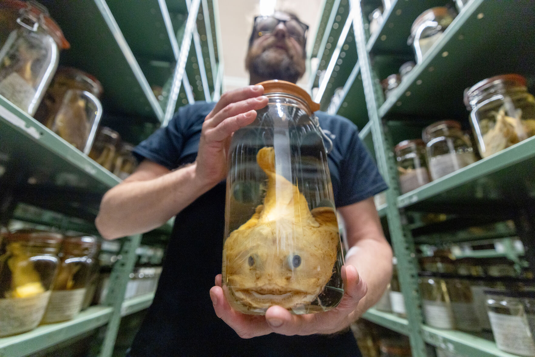 Tulane stores 8 million fish in a World War II bunker | Environment ...