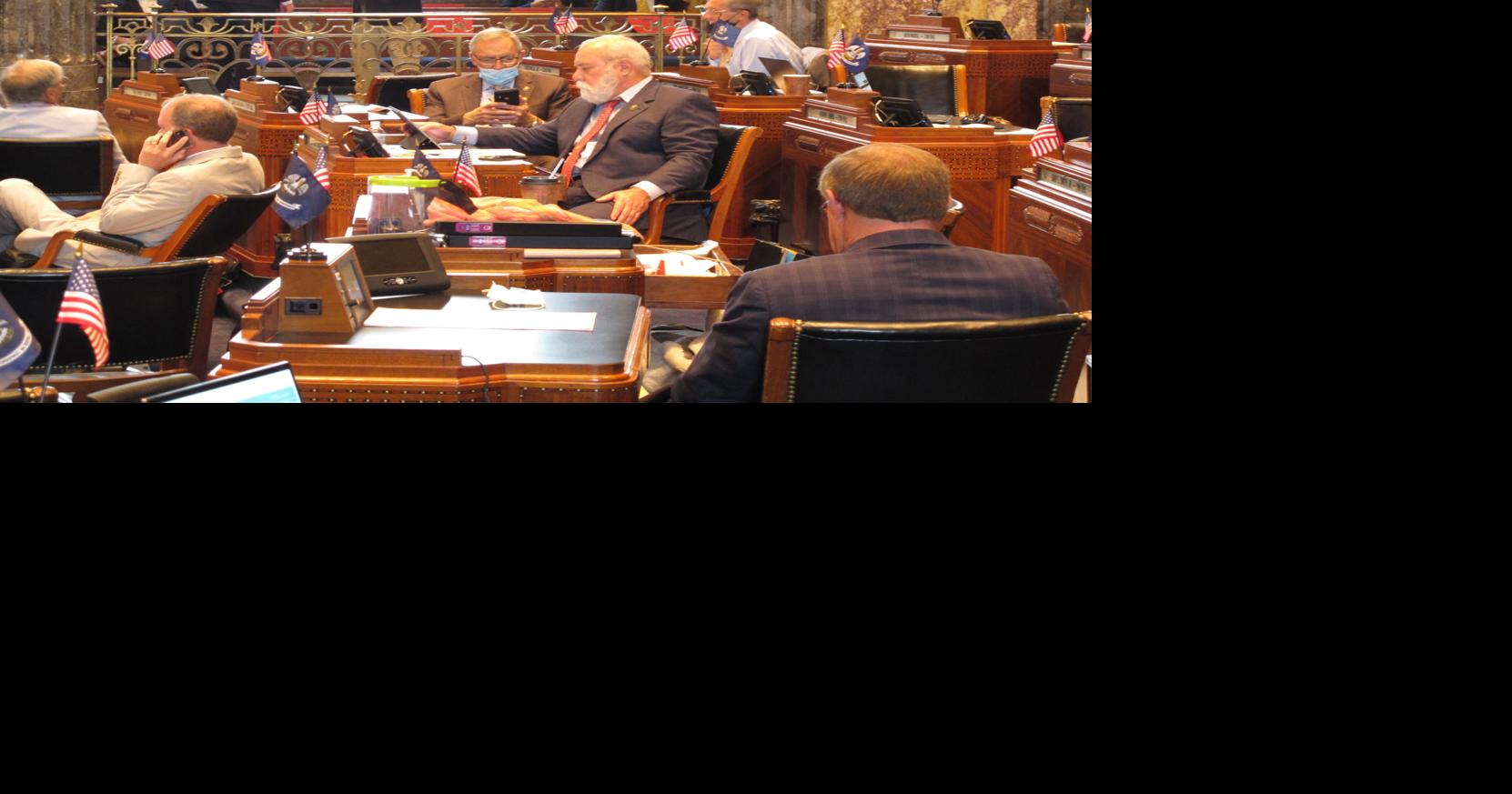 Cameron Henry will be the new state Senate president | Local Politics ...