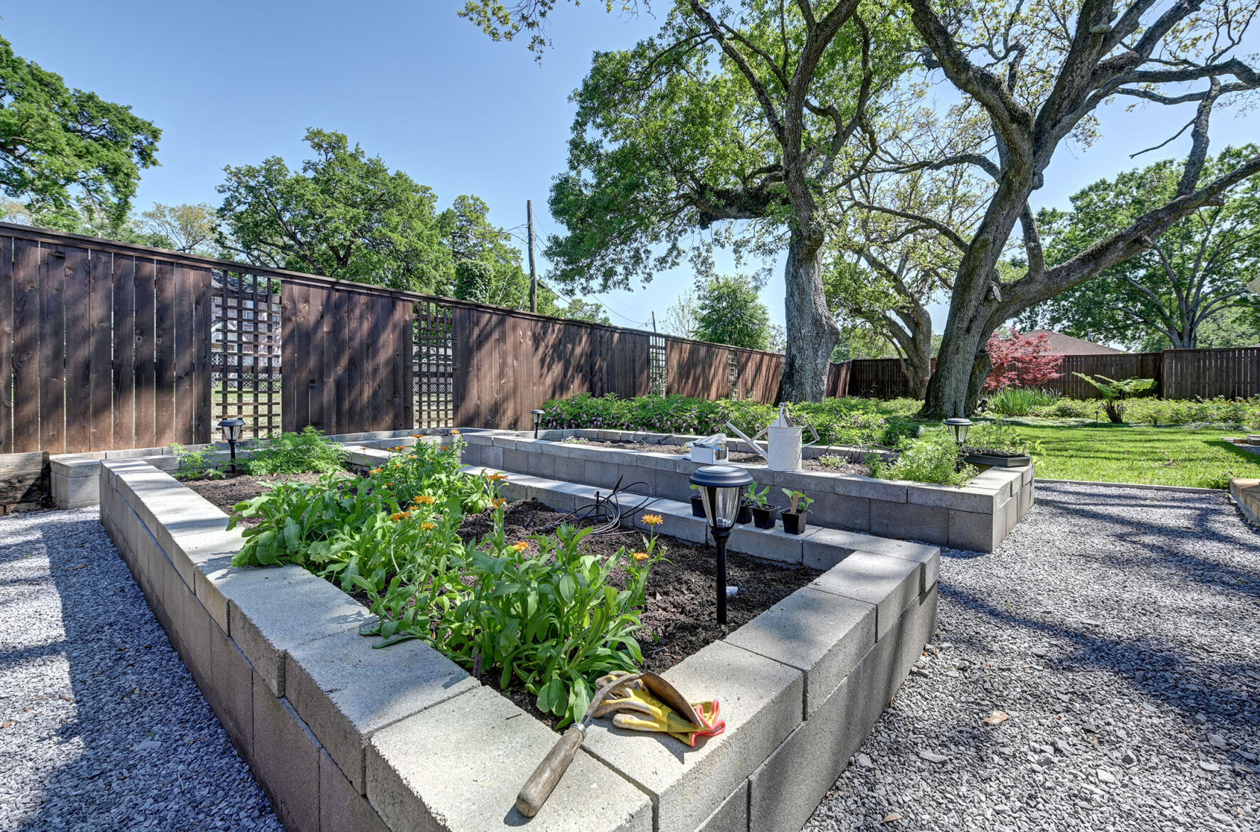 Reimagine your landscape by planting trees and shrubs | Home/Garden ...