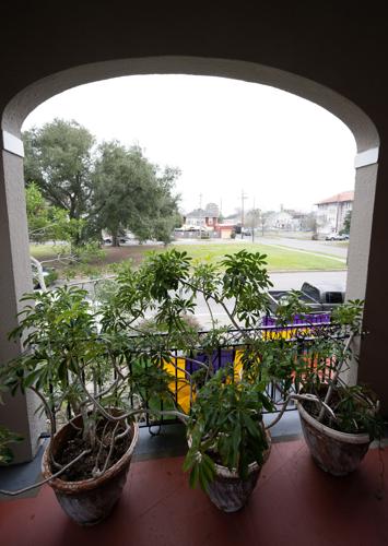 40 years of Endymion parties: A Mid-City house and the parade its owner ...