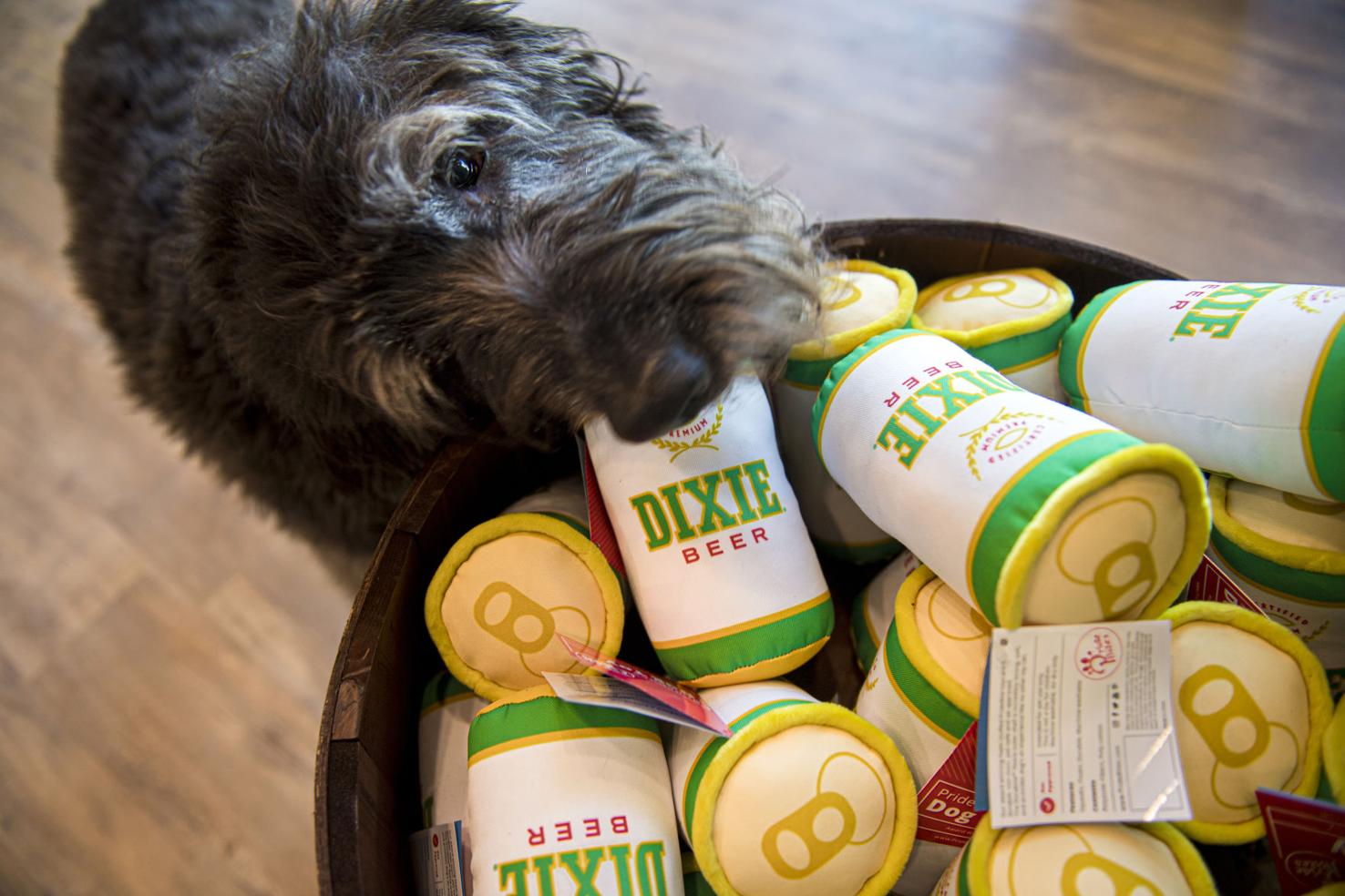 Dixie Beer is back: Take a peek inside new brewery opening Saturday in ...