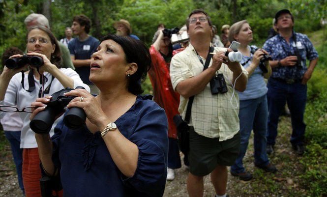 Get free trees at NOLA Tree Project giveaway: 12 gardening events not ...