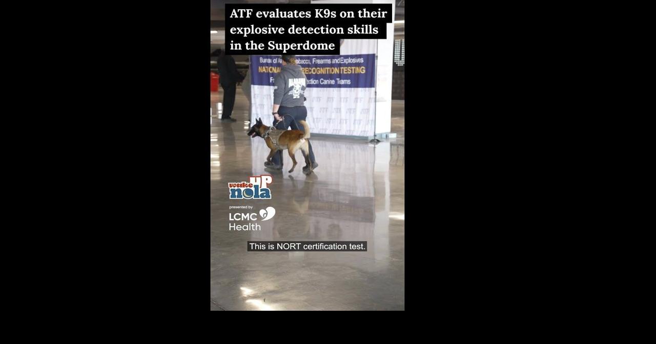 Wake Up NOLA: ATF transforms Superdome for K9 explosive-detection ...