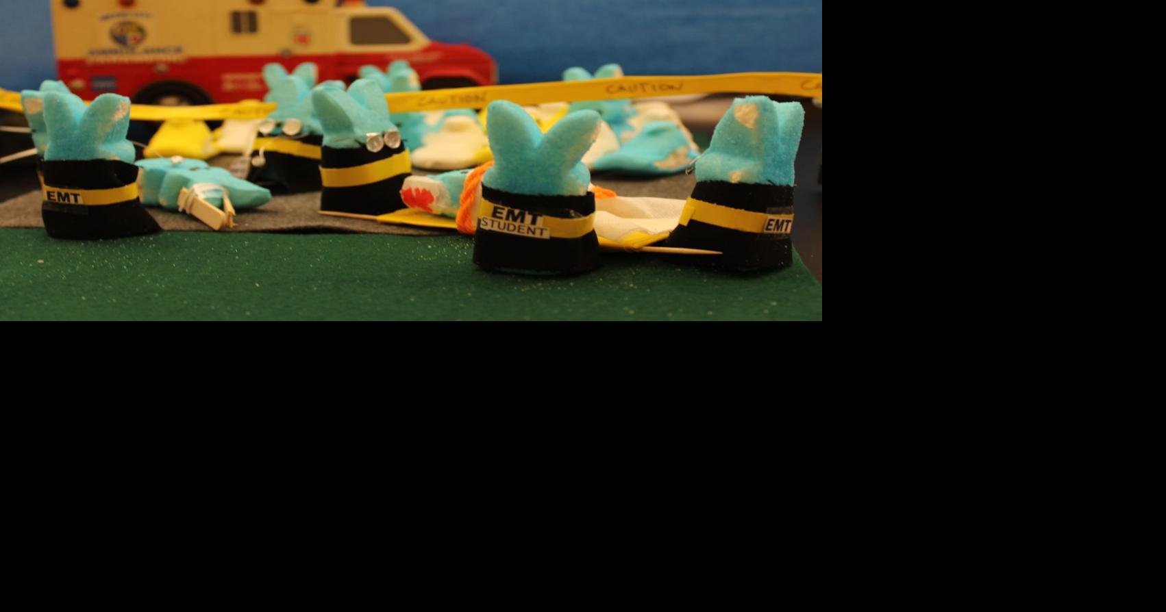 Peep Show! Take a Peep at what readers can do with Peeps ...