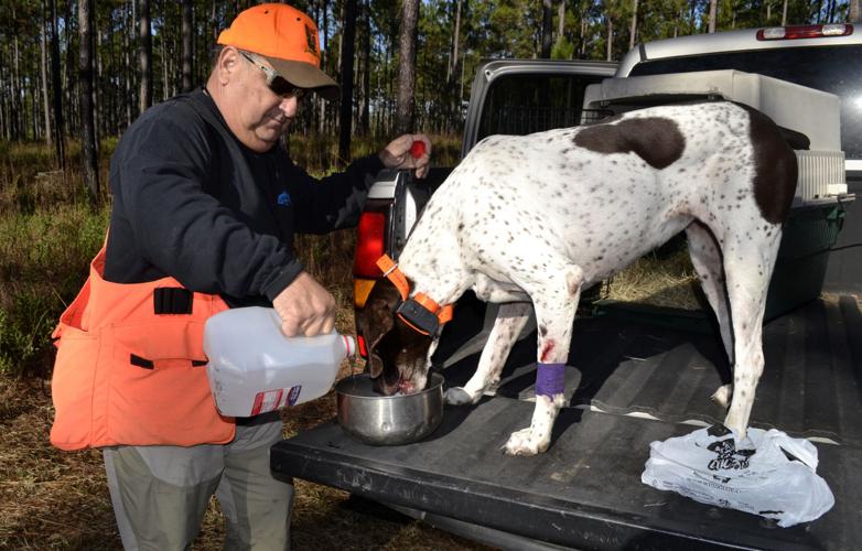 Don Dubuc marks a milestone for his Louisiana outdoors show ...