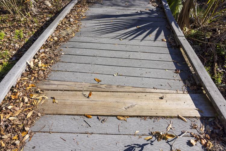 Here's the latest on the Barataria Preserve trails | Jefferson Parish ...