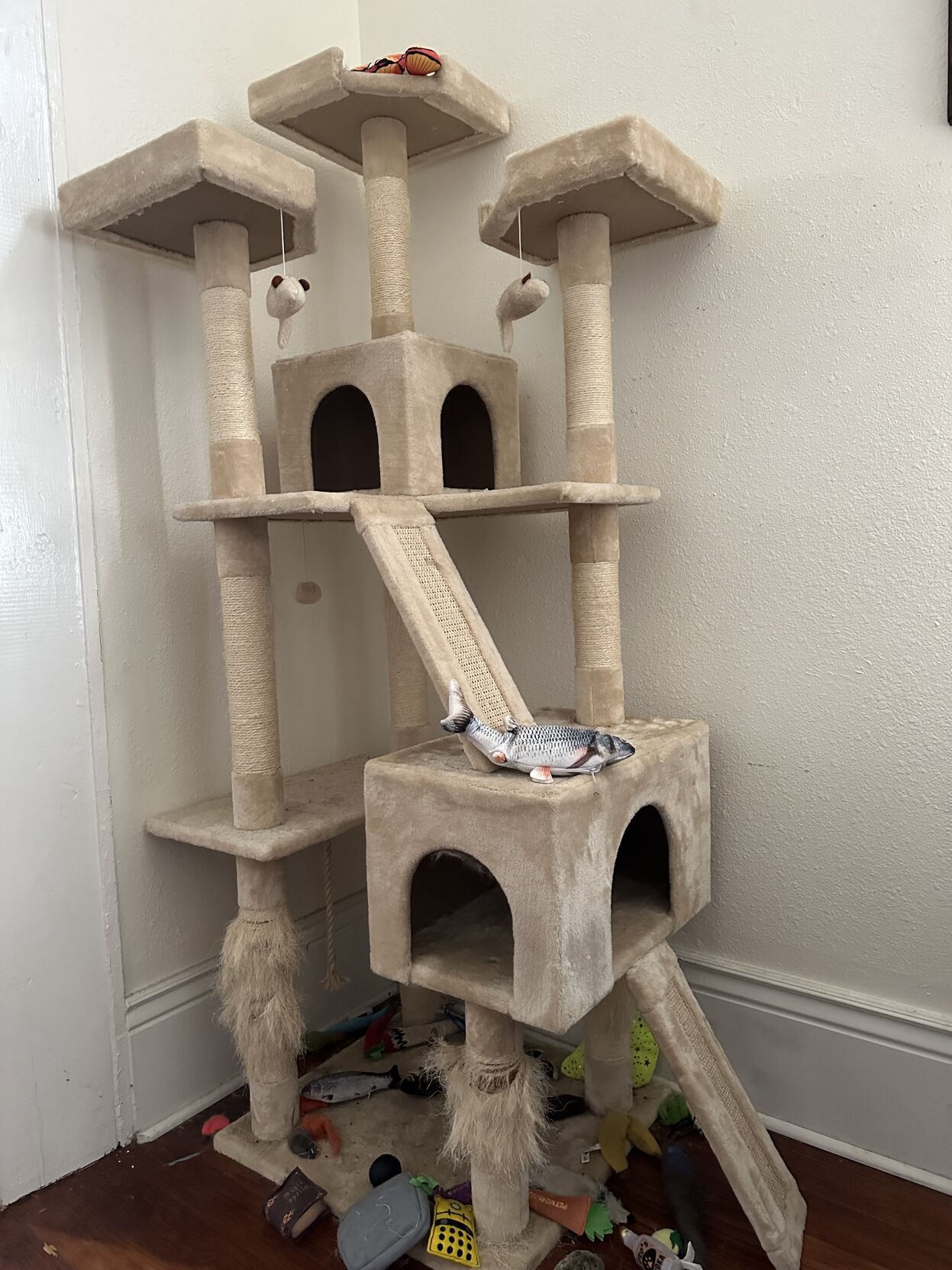 Cat Chat! With Pretty Pretty Princess Meow Meow Jawsy Jaws | The Latest ...