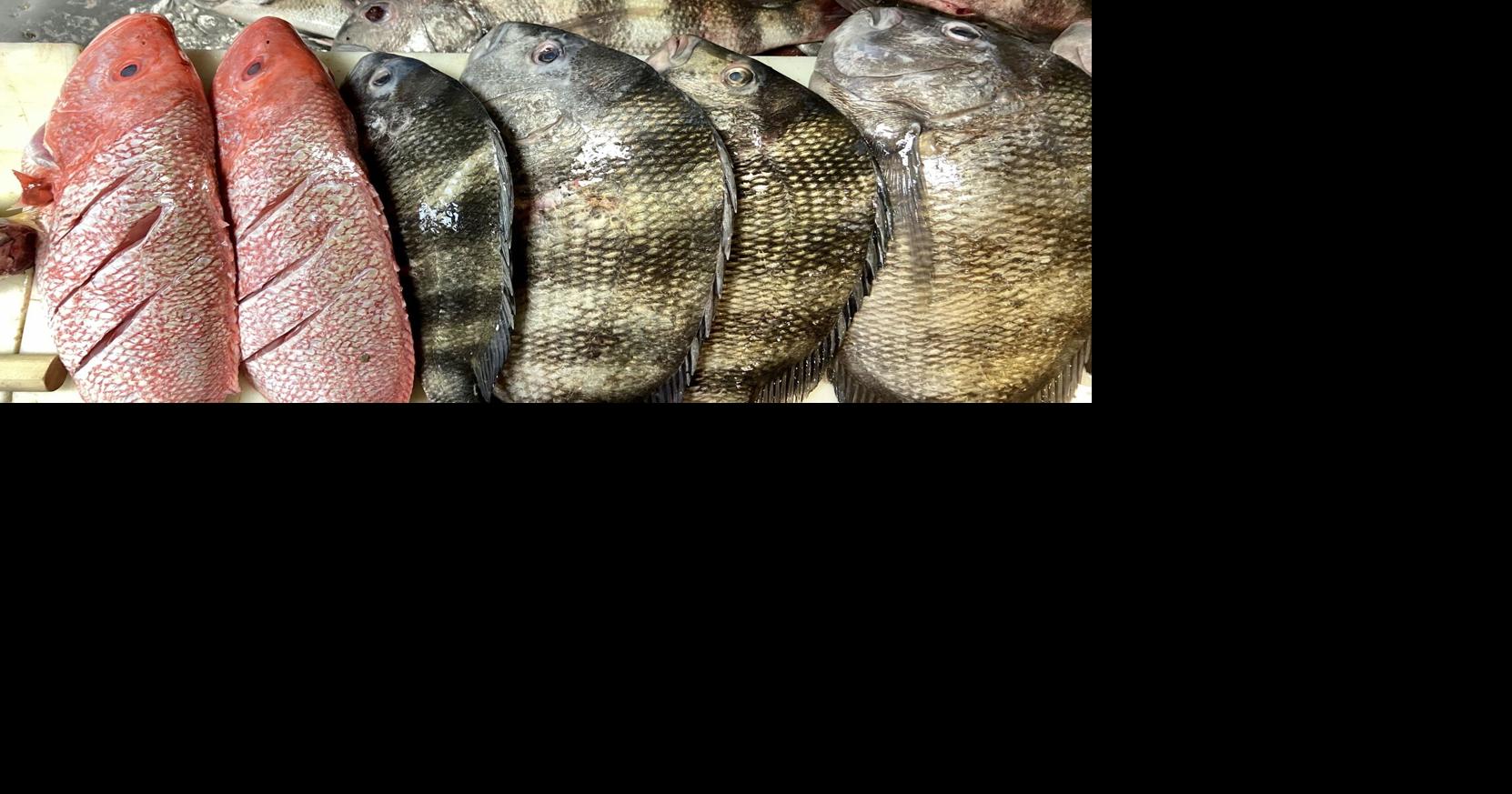 Friday fish fry at New Orleans restaurants opens new ideas, starts with ...