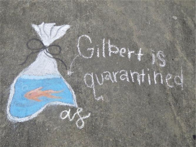 Chalk drawings capture the coronavirus mood for cooped up kids and ...