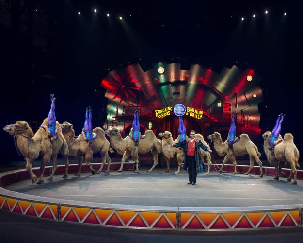 Circus is in town, with an Xtreme makeover | Arts | nola.com