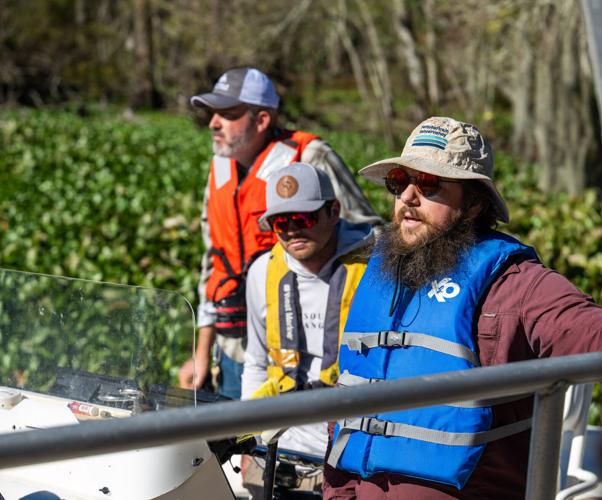Dying Louisiana swamp to be revived with unique project | Environment | nola.com