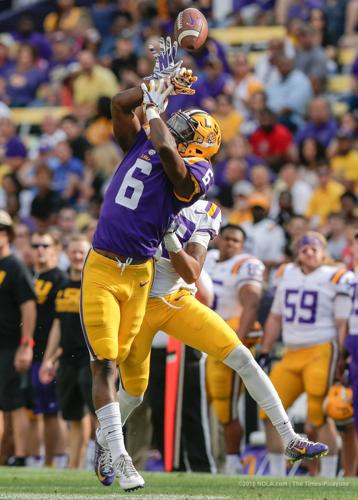 Check out the final stats from LSU football's spring game | Archive ...