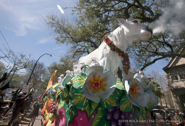 See photos from the 2019 Rex parade | News | nola.com