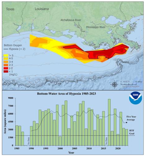 Doug Daigle on reducing the 'dead zone' off Louisiana coast ...