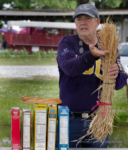 LSU AgCenter hosts AgMagic on the River at Docville Farm | Education ...